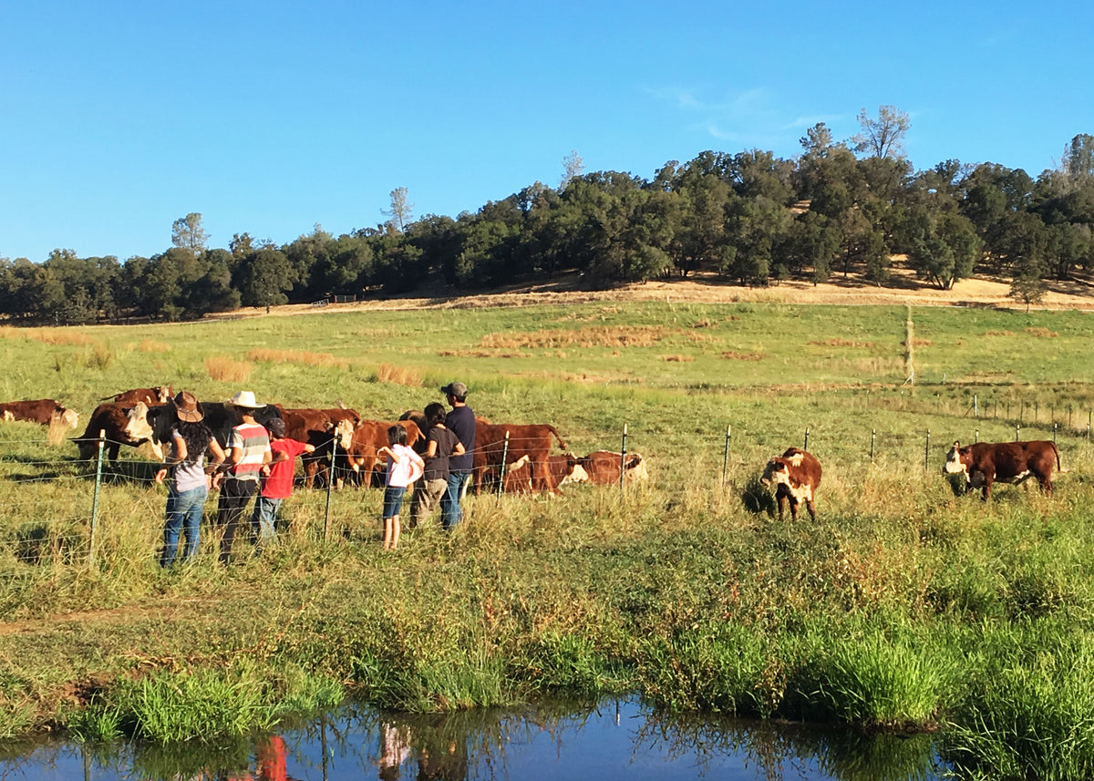 Your New Farmers at FFF – Family Friendly Farms